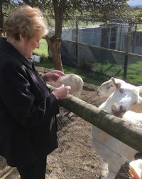GLENICE IRENE HUNTER – David W Bull Family Funerals