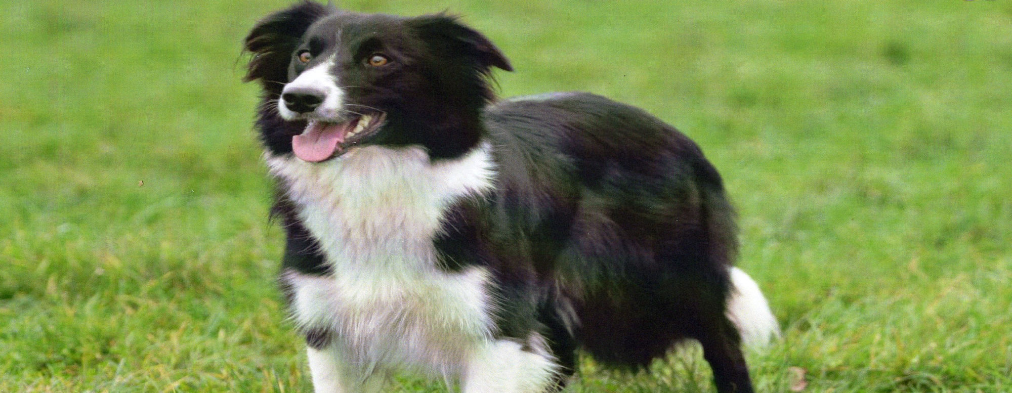 Kevin Maurice Fitzgerald Drouin Funeral Director – David W Bull Family ...