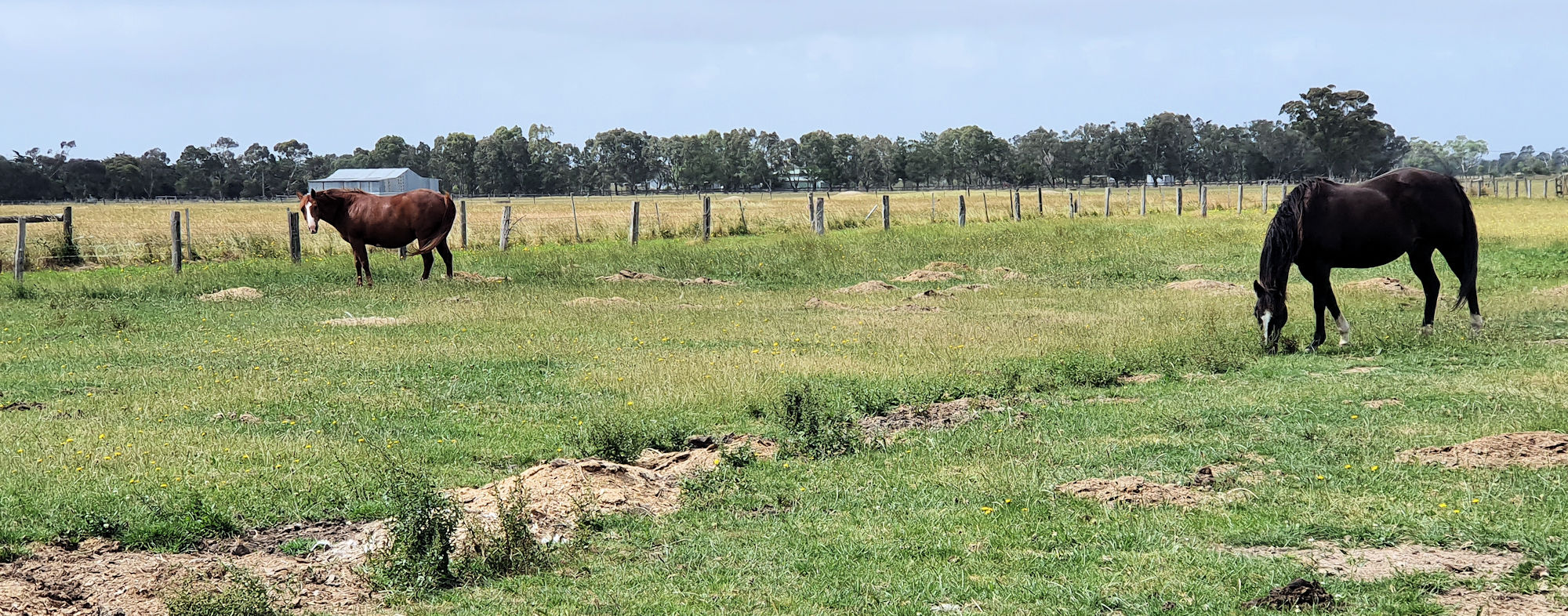 JOHN REGINALD SINCLAIR – David W Bull, Funeral Director