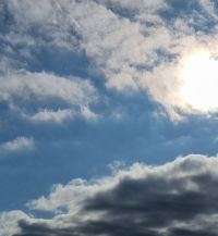 NORMAN ‘NORM’ CINCOTTA – David W Bull Family Funerals